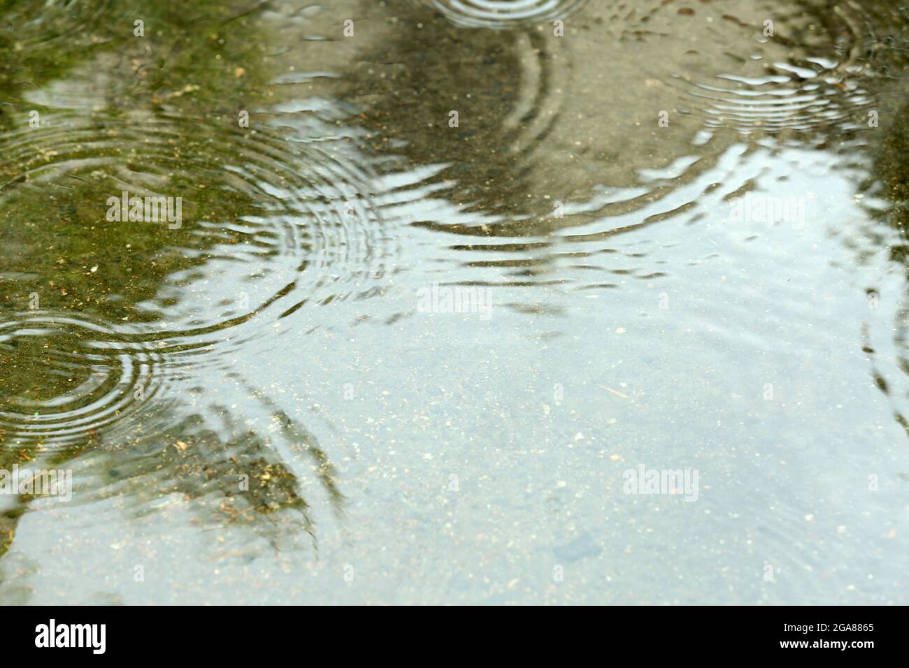 Rainy puddle outdoors Stock Photo - Alamy