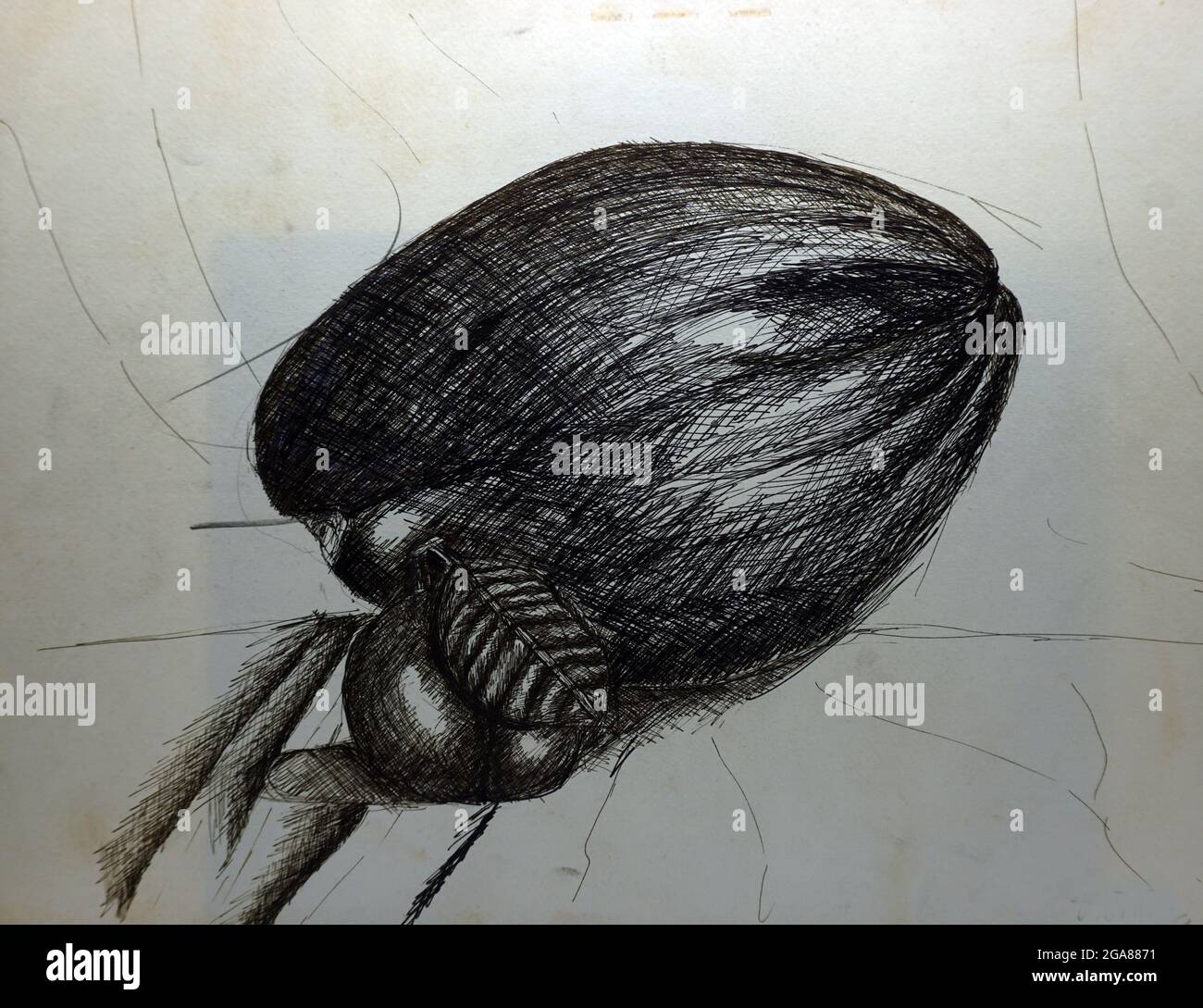 Practice drawing lines drawing quickly is the practice of seeing hi-res ...