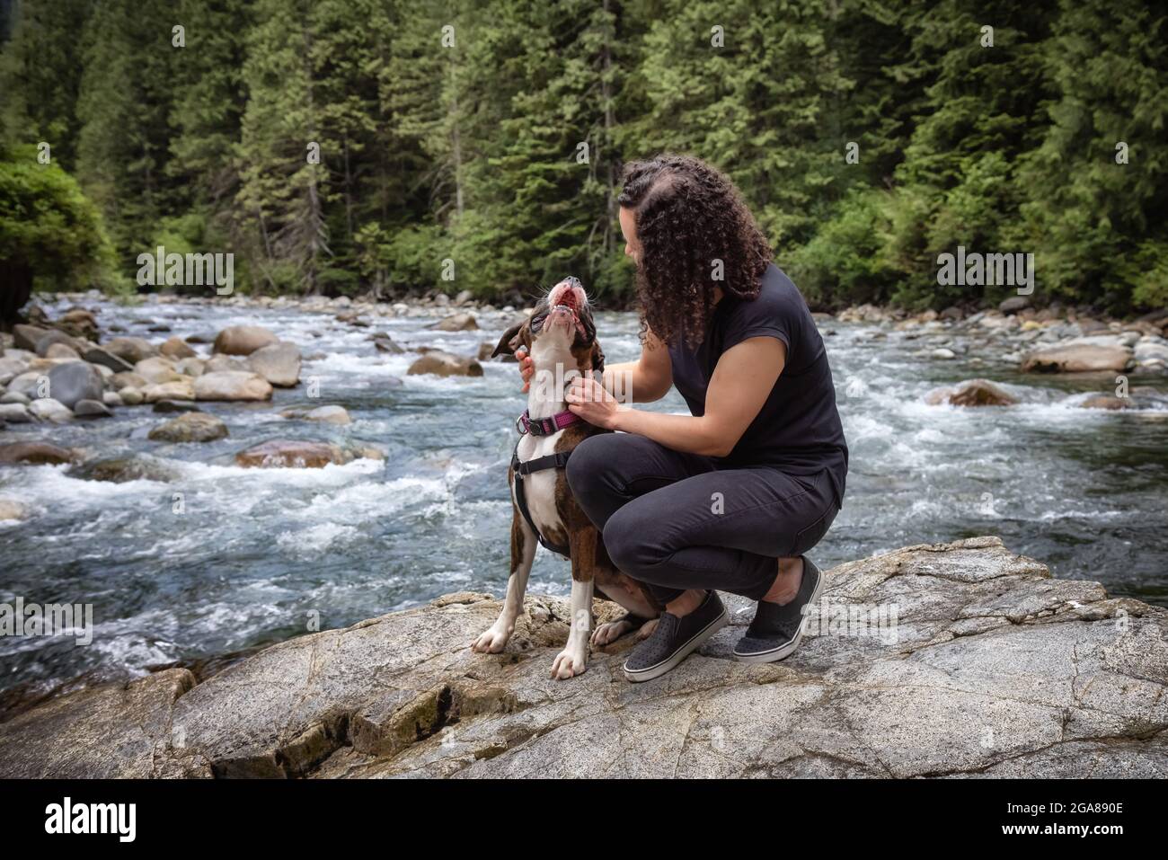 Canadian female boxer hi-res stock photography and images - Alamy
