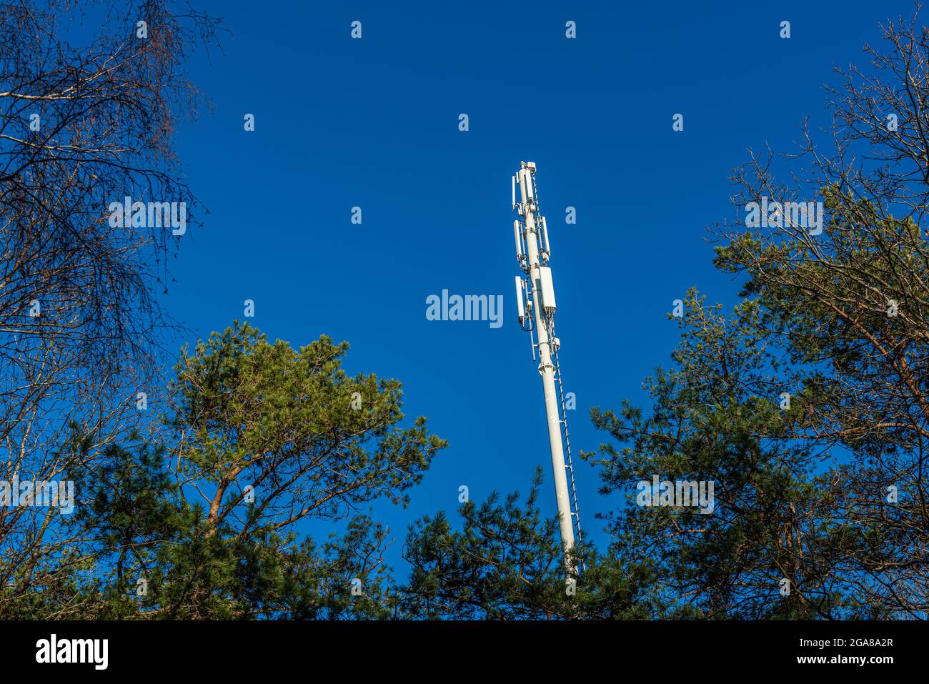Mobile communications antenna tower in a forest Stock Photo - Alamy