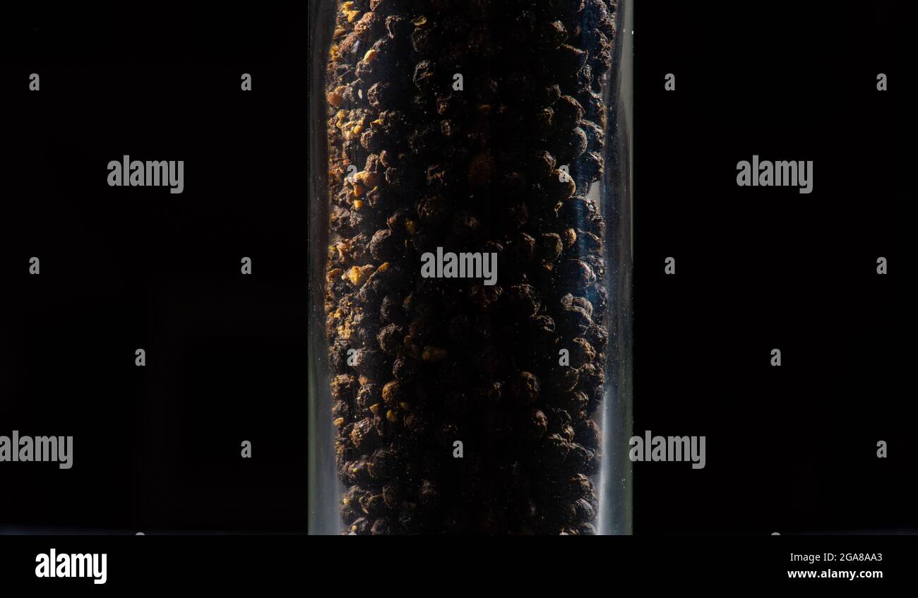 Black pepper in a narrow glass tube Stock Photo - Alamy