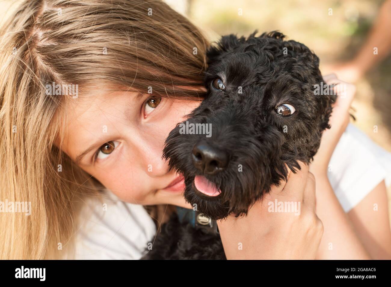Cute smiling little girl playing with her dog, black poodle, in the ...