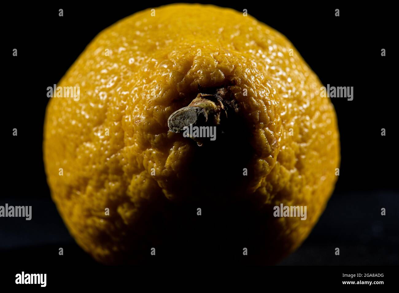 Skin texture detail of a lemon Stock Photo - Alamy