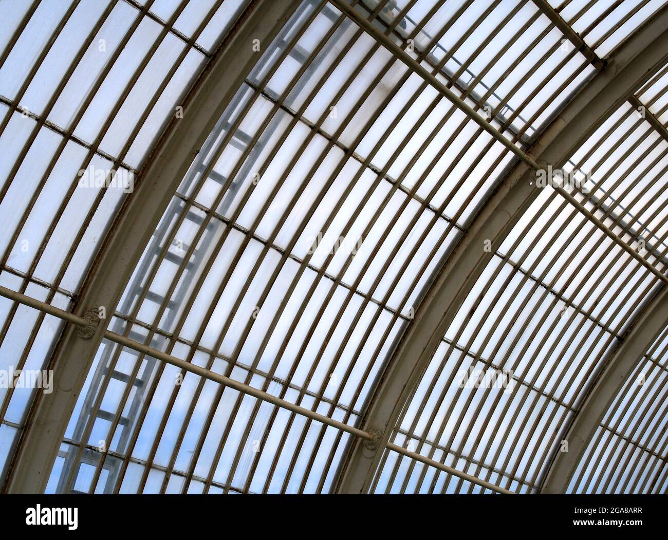 Architectural detail of the roof structure of a palm house Stock Photo ...
