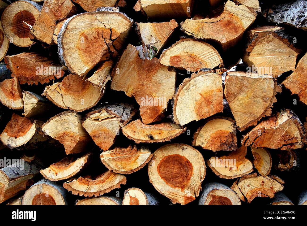Close-up of a stack of logs Stock Photo - Alamy