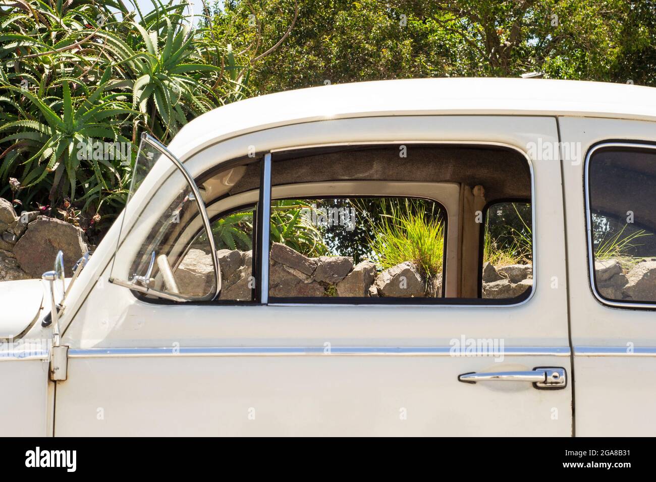 Car closeup image from side door on a sunny day, with plants background ...