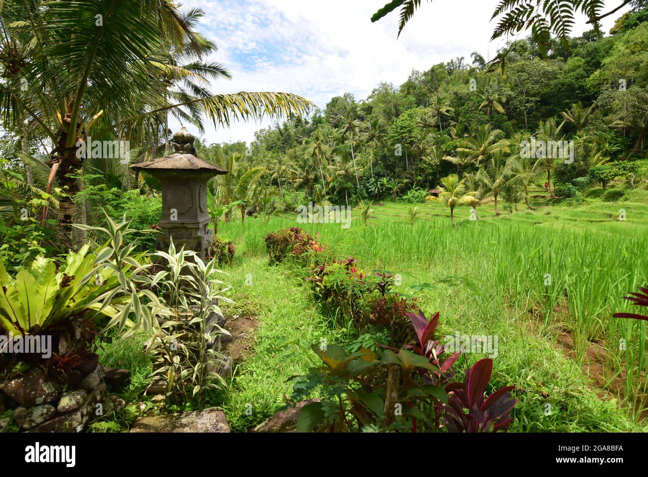 Subak bali unesco hi-res stock photography and images - Alamy