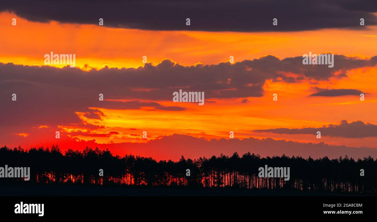 Trees silhouette under sunset hi-res stock photography and images - Alamy