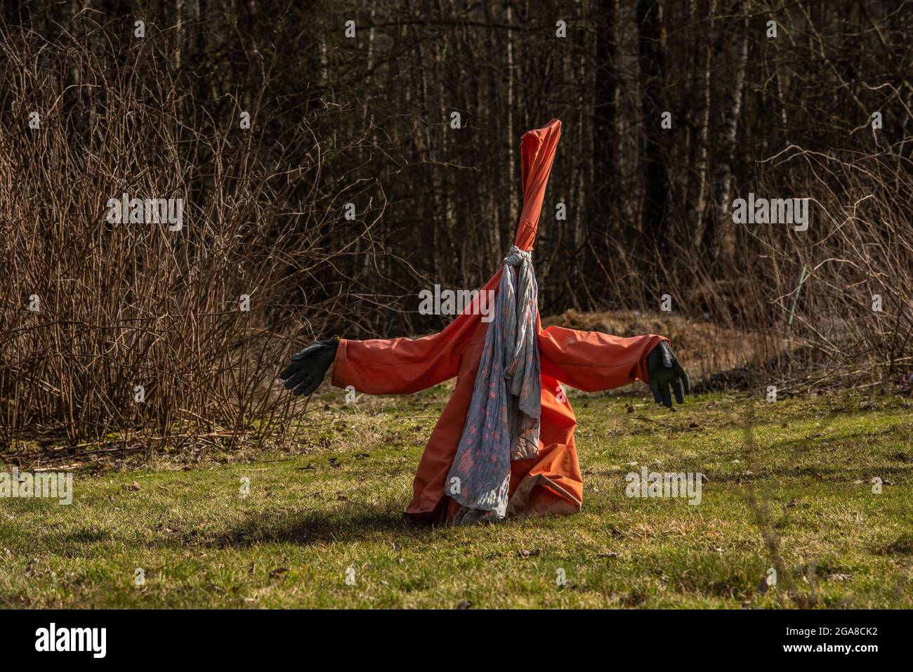 Sunflower scarecrow hi-res stock photography and images - Alamy
