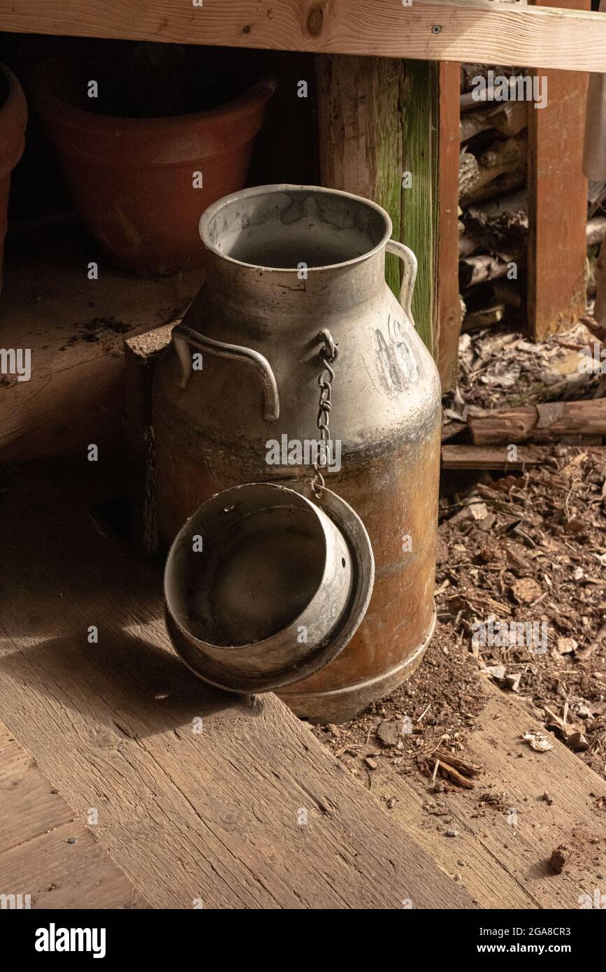 Aluminium milk bucket in a barn Stock Photo - Alamy