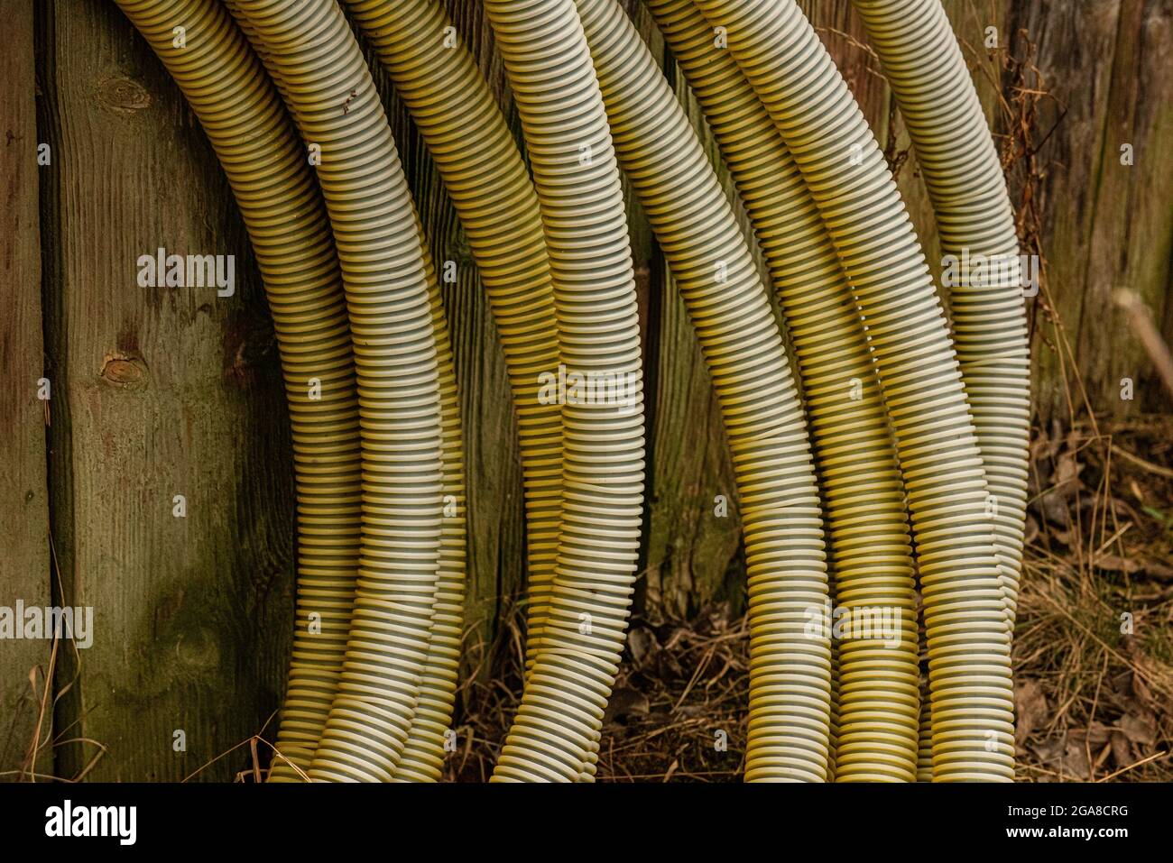 Yellow plastic cables resting against a wall Stock Photo - Alamy