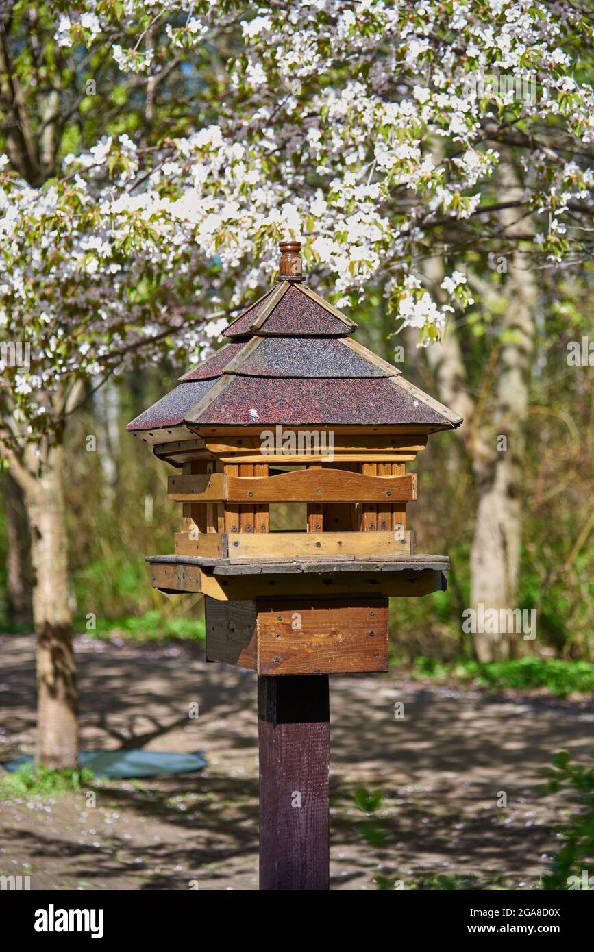 Japanese birdhouse hi-res stock photography and images - Alamy
