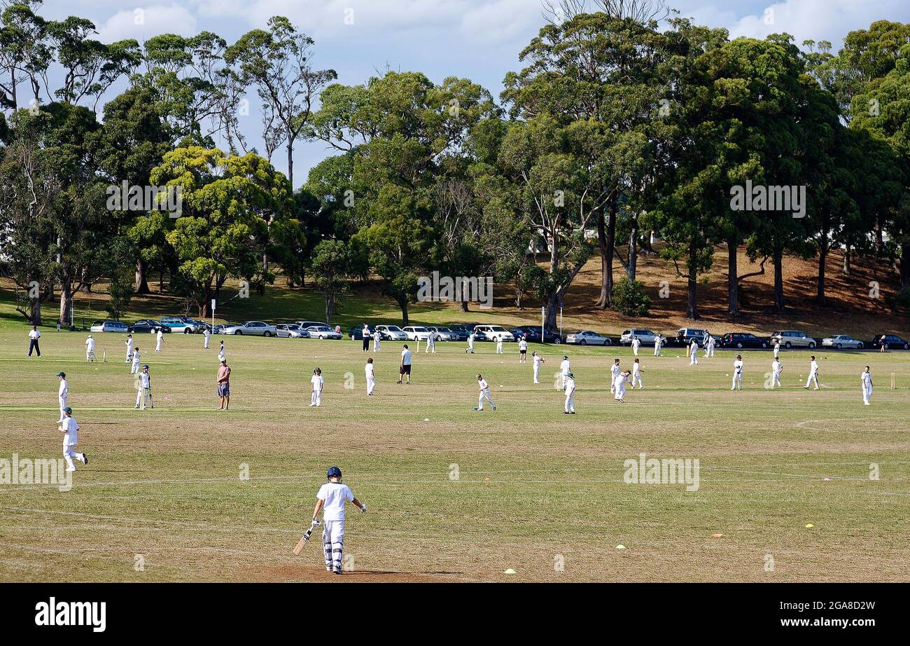 young cricket players practising, white uniforms, sport, recreation ...