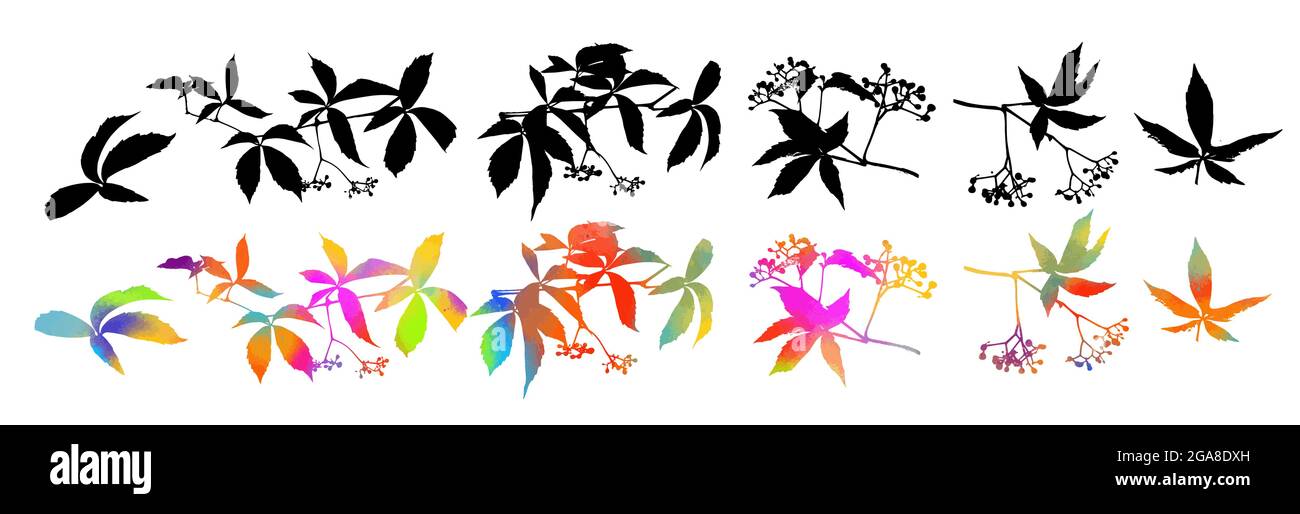 Set of multi-colored leaves. Vector illustration Stock Vector Image ...