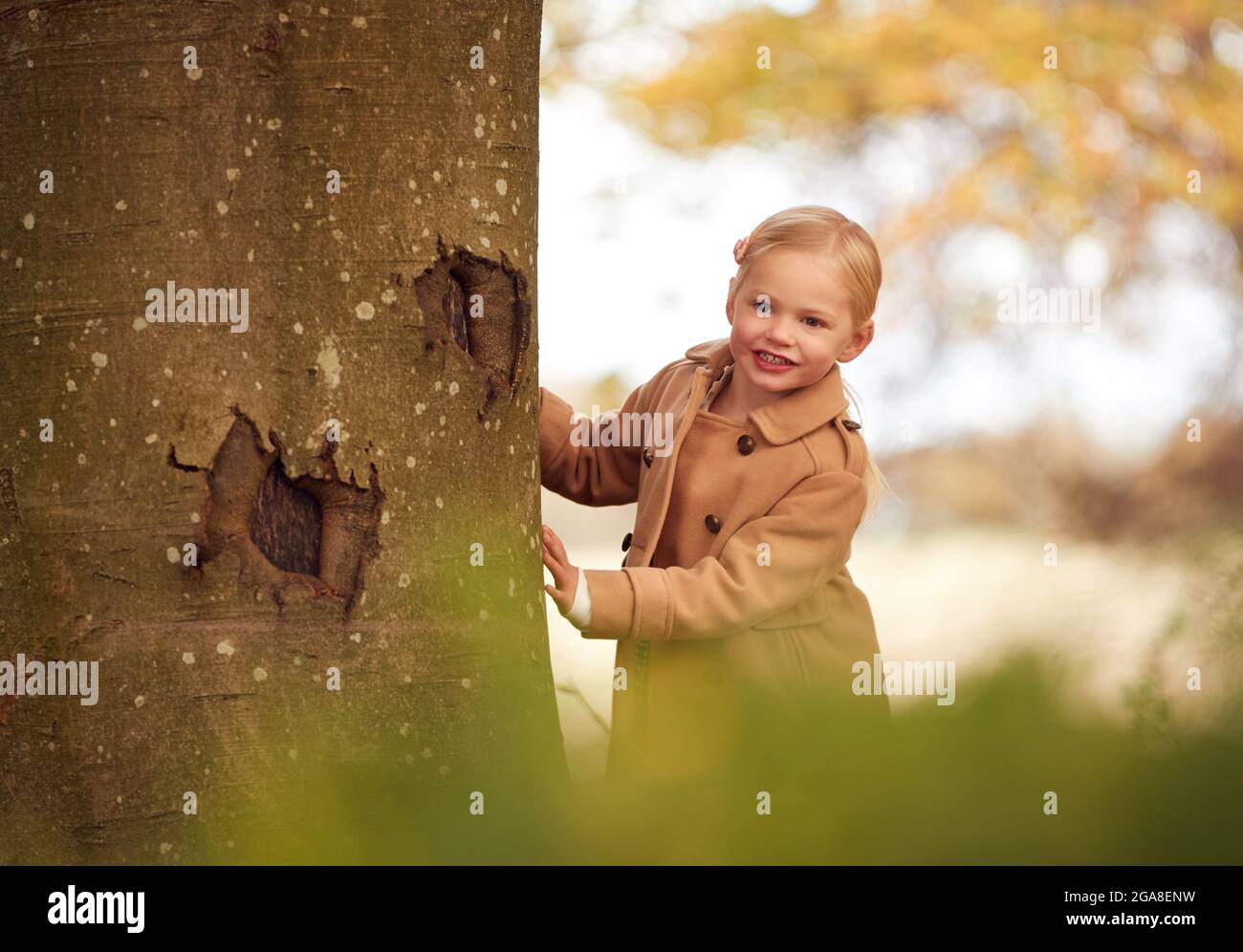 Young Girl Looking Around Trunk Of Autumn Tree Playing Hide And Seek In ...