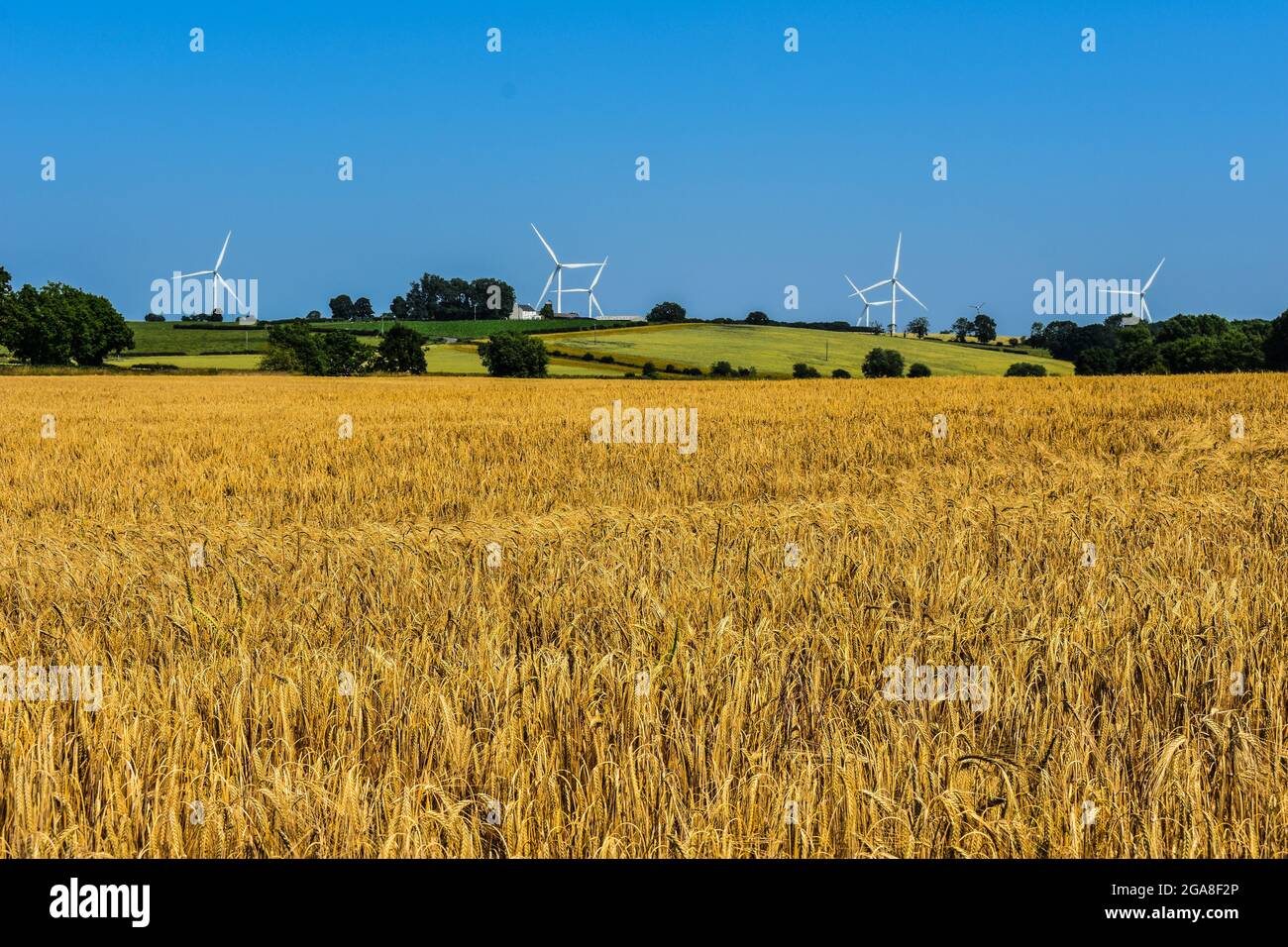 Harvest energy hi-res stock photography and images - Alamy