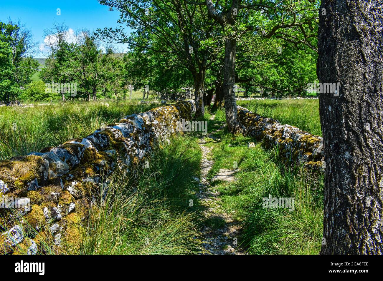 Follow the path Stock Photo - Alamy