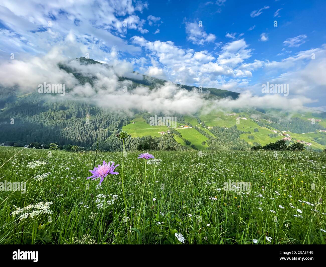 Mountains peaks tyrolean alps hi-res stock photography and images - Alamy