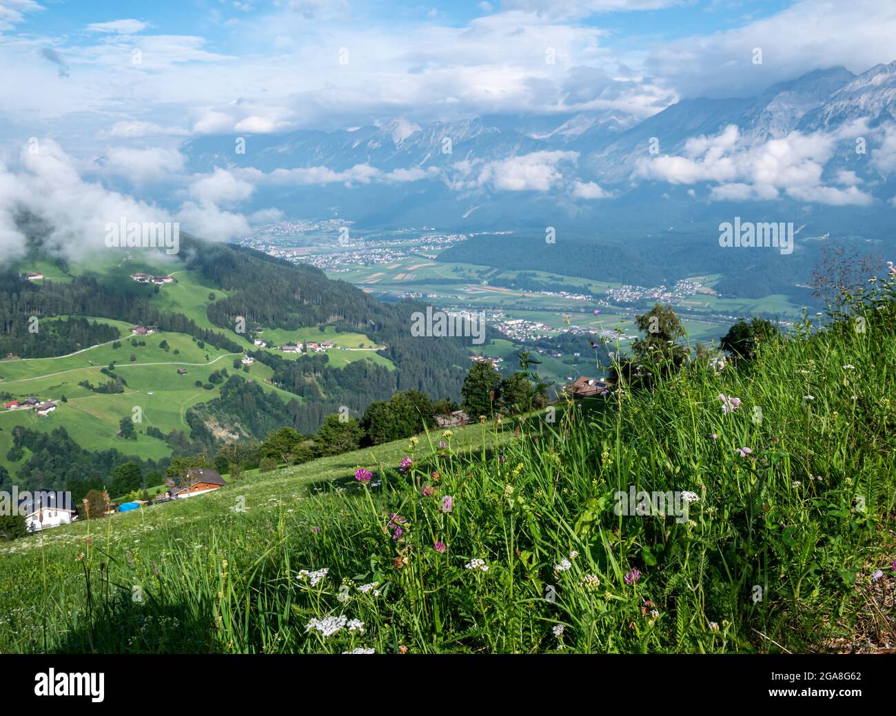 Summer meadow in the Tyrolean Alps Stock Photo - Alamy