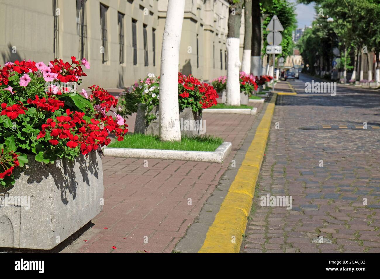 City street with flower beds Stock Photo - Alamy