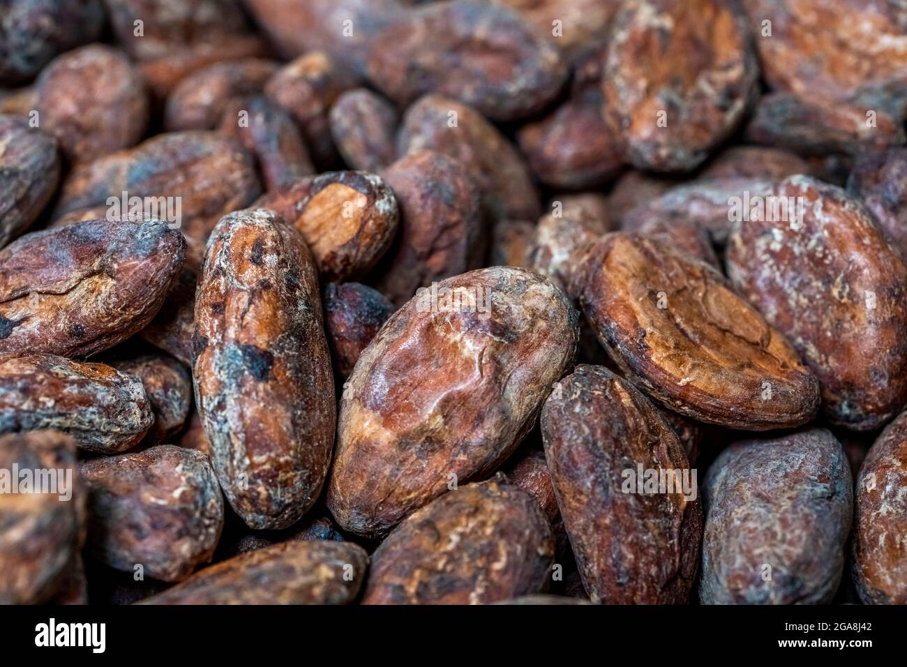 Ceremonial cacao hi-res stock photography and images - Alamy