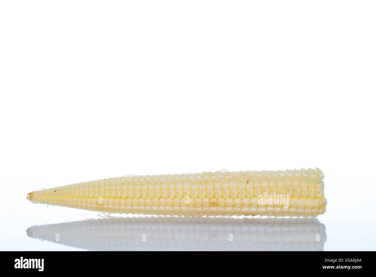 One bright yellow ripe sweet organic mini corn, close-up, on a white ...