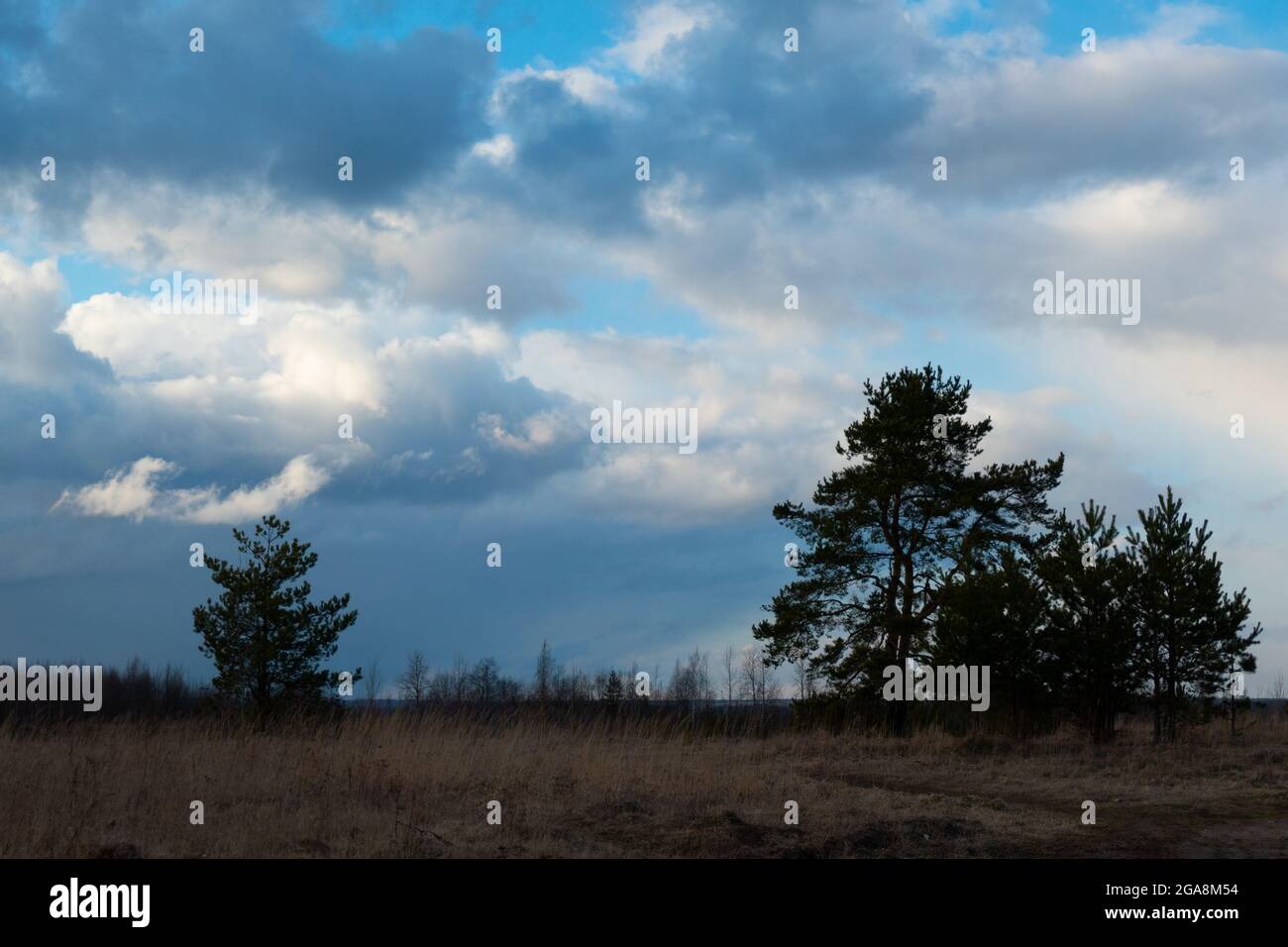landscape with majestic beautiful dramatic pre-threatening sky. Cloudy ...