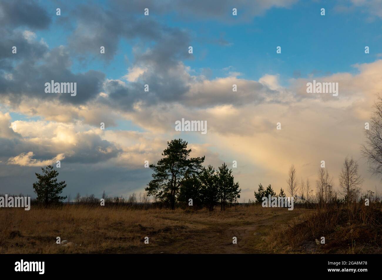 landscape with majestic beautiful dramatic pre-threatening sky. Cloudy ...