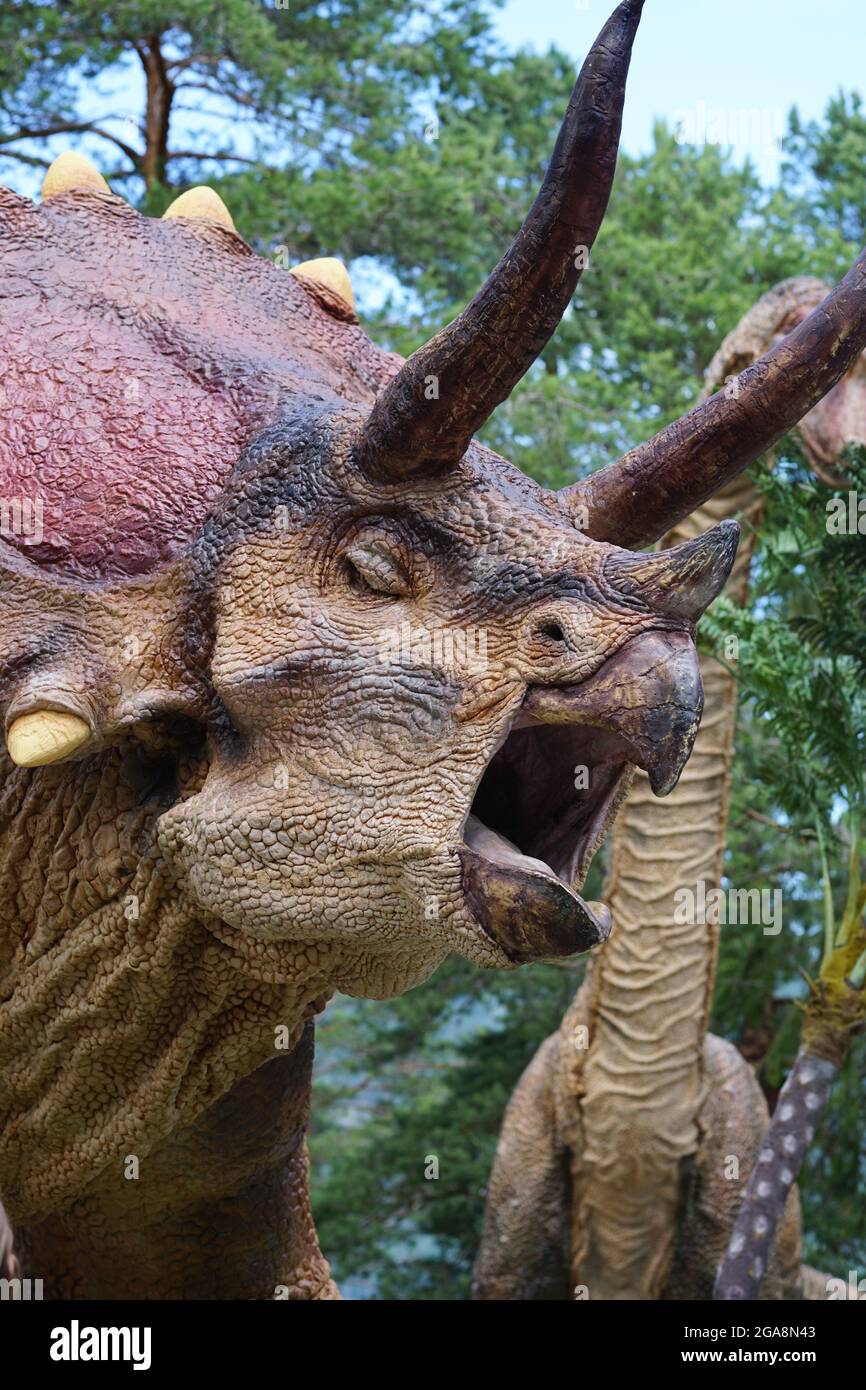 Triceratops horridus dinosaur animatronic model Stock Photo - Alamy