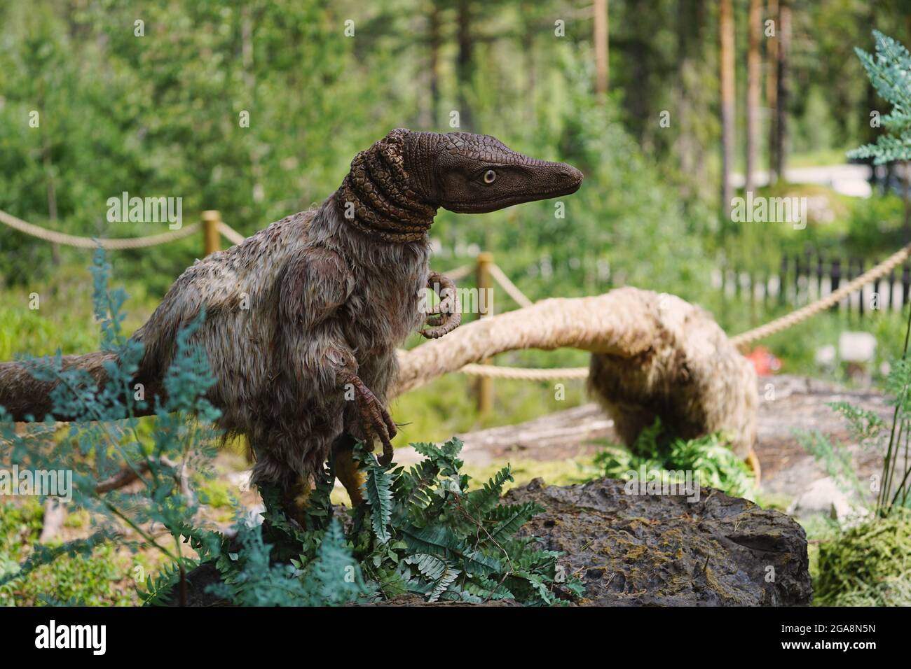 Velociraptor mongoliensis dinosaur animatronic model Stock Photo - Alamy