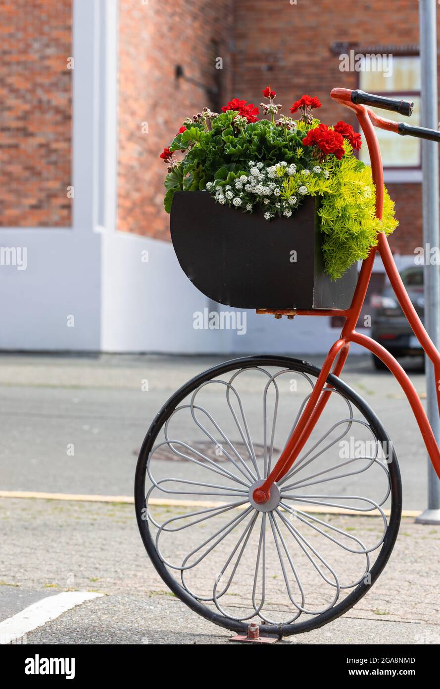 Bicycle with bucket hi-res stock photography and images - Alamy