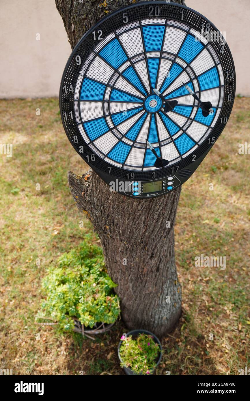Blue and white dartboard on a tree trunk with the arrows Stock Photo ...