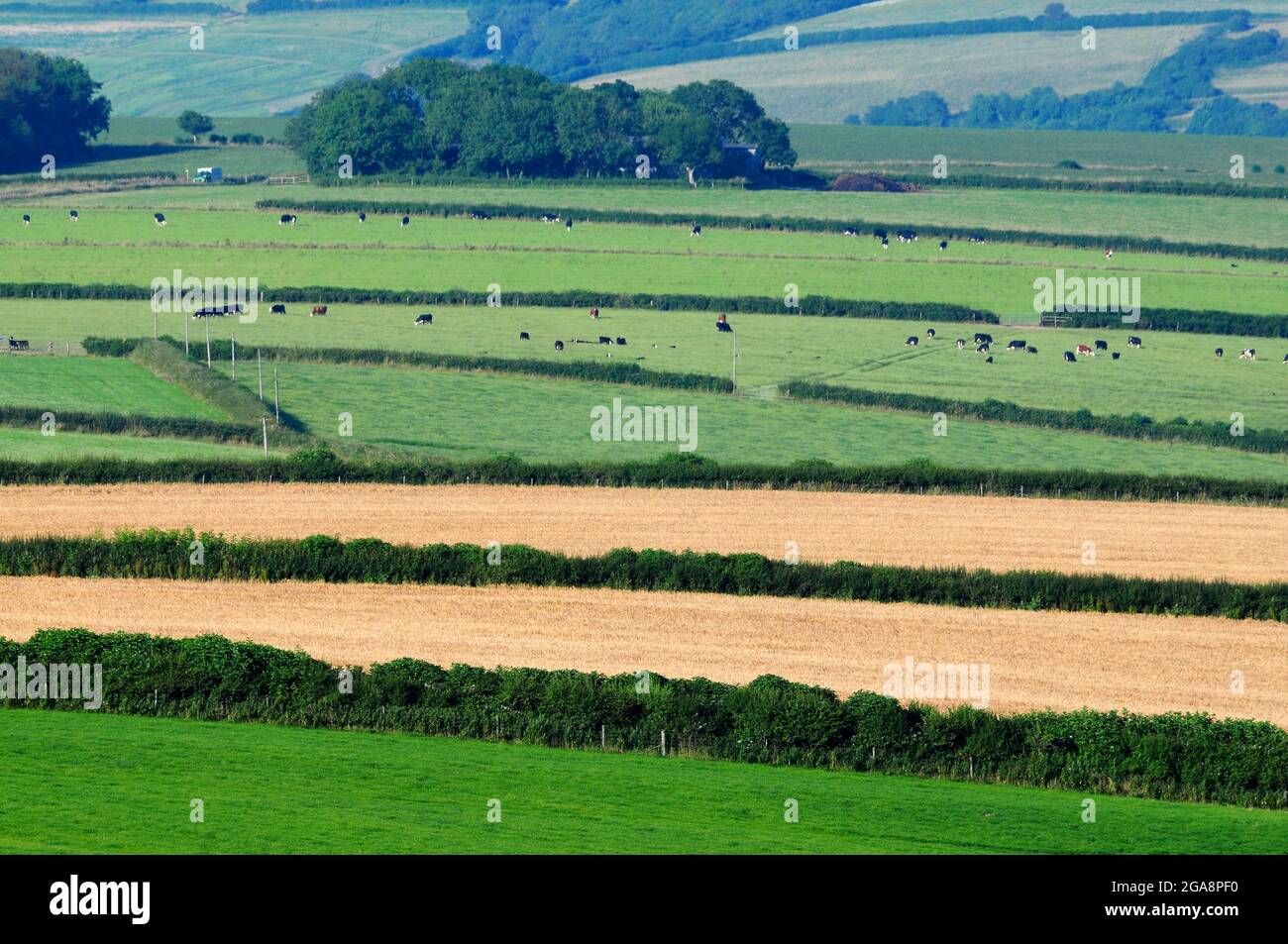 Mixed farmland hi-res stock photography and images - Alamy