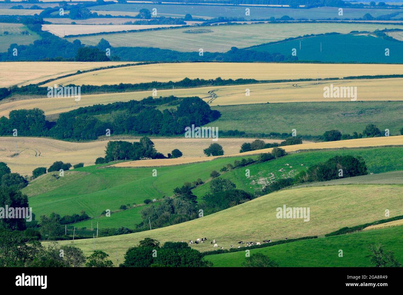 Mixed farm uk hi-res stock photography and images - Alamy