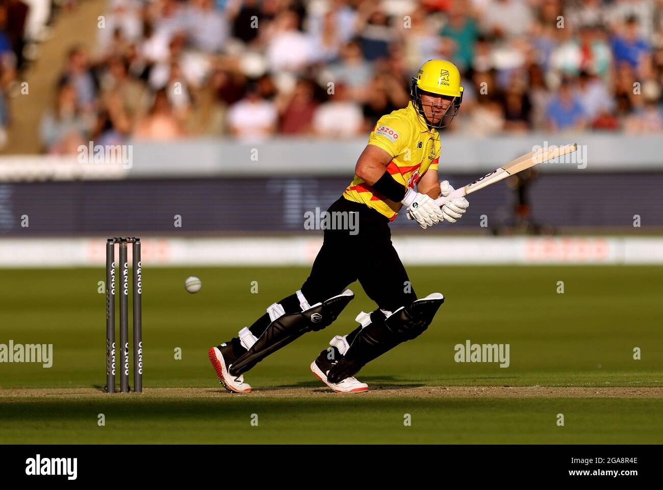 Darcy short hi-res stock photography and images - Alamy