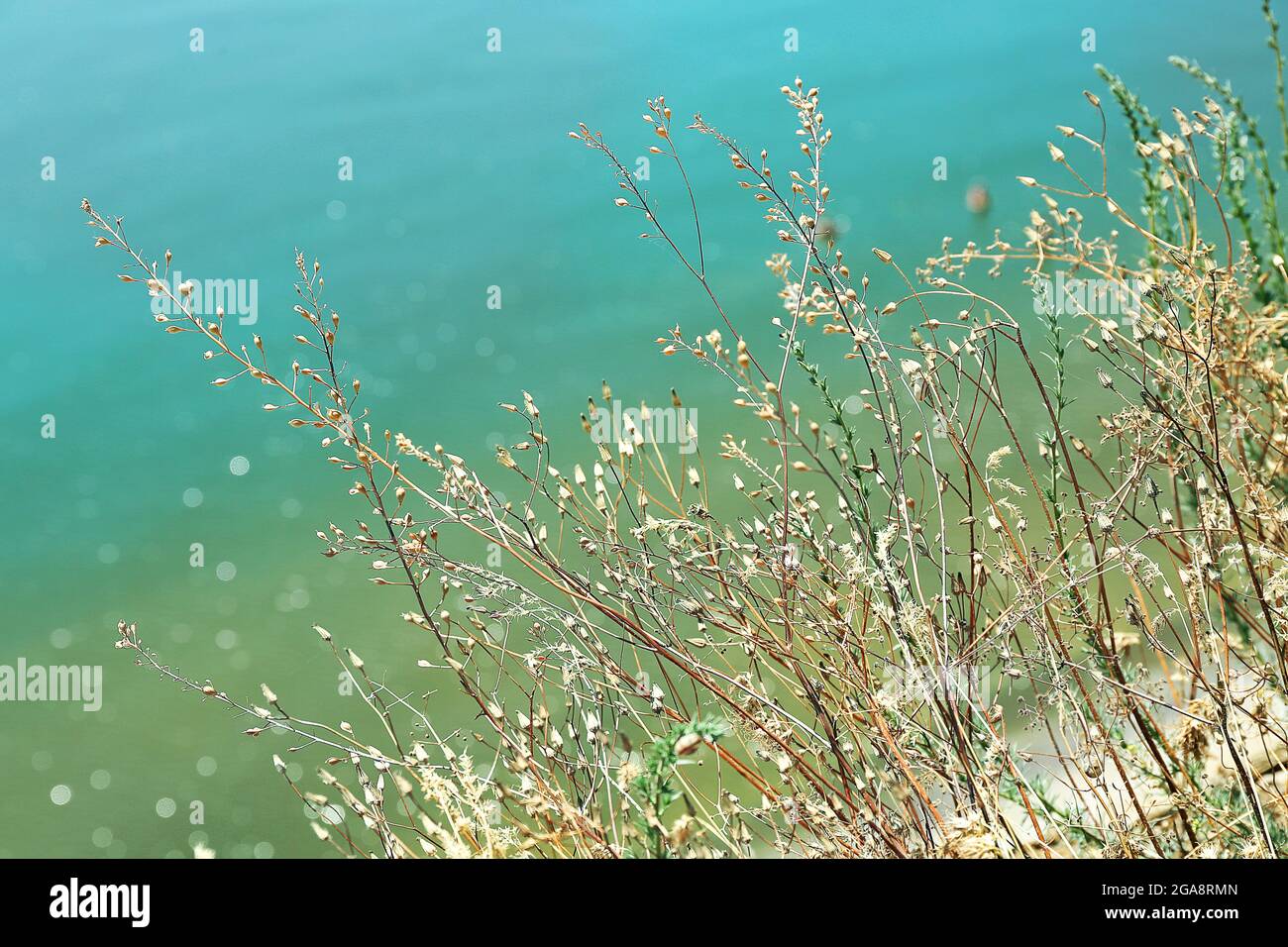 Beautiful country landscape with river Stock Photo - Alamy