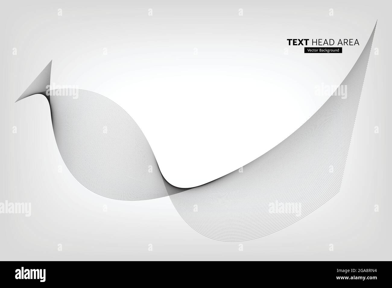 Text Head Area Designs, Lines, Abstract Background, Background Designs ...