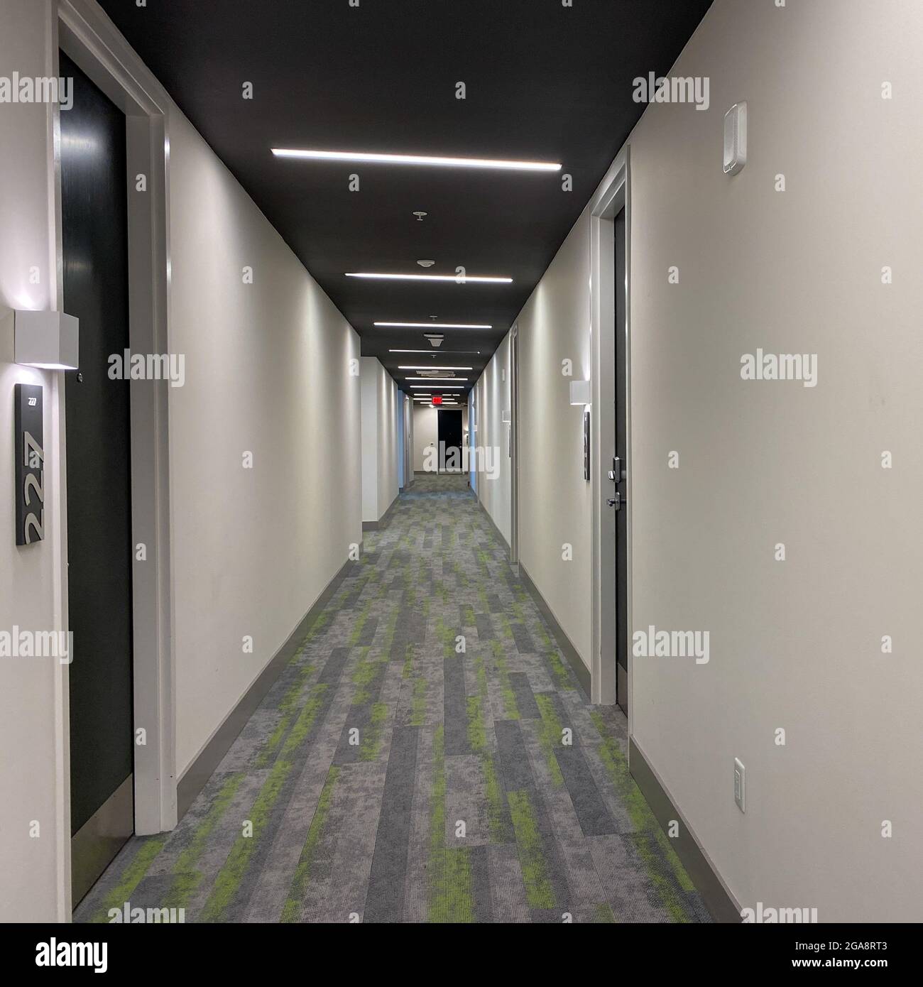 A sterile hallway with white walls and grey striped carpet in an ...