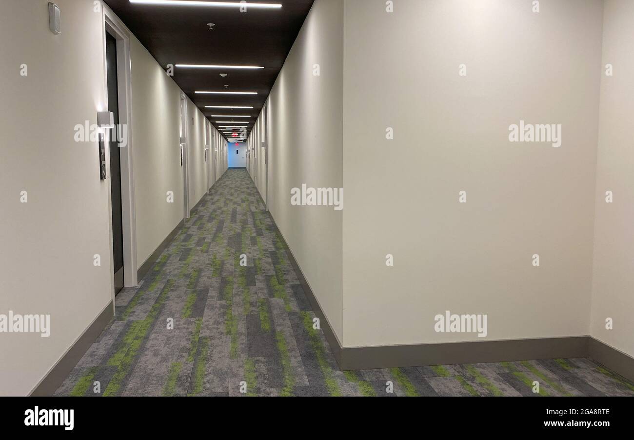 A sterile hallway with white walls and grey striped carpet in an ...