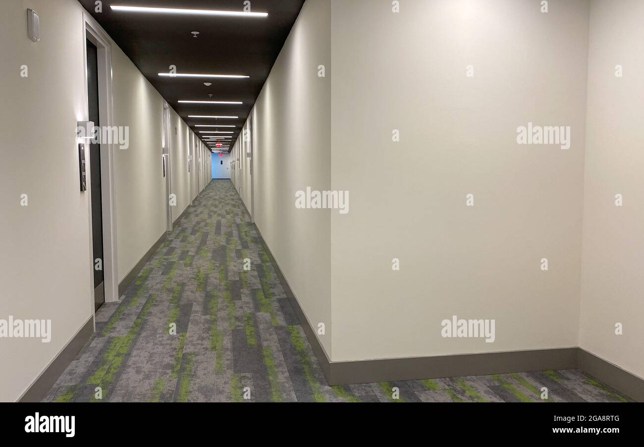 A sterile hallway with white walls and grey striped carpet in an ...