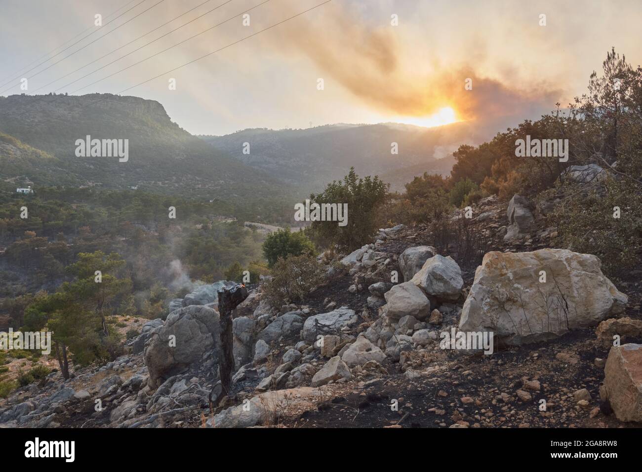 Charred smoldering trunk of a burnt tree Stock Photo - Alamy