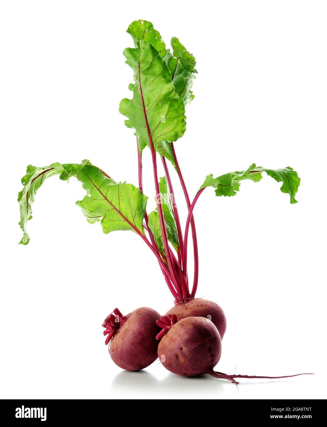 Young beets with leaves isolated on white Stock Photo - Alamy