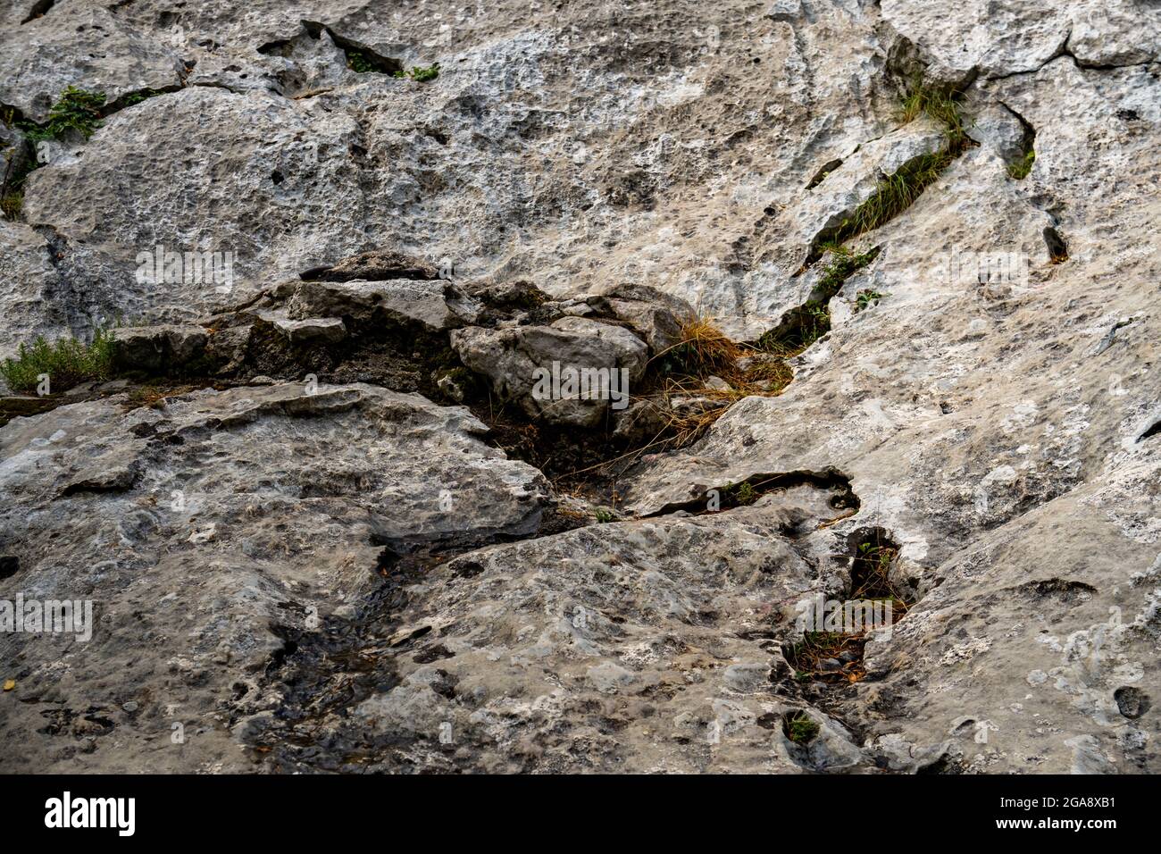 Closeup of cracked rock texture Stock Photo - Alamy