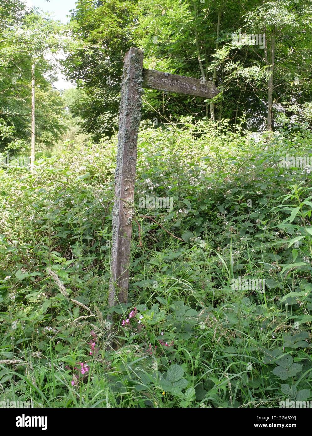 Plague sign hi-res stock photography and images - Alamy