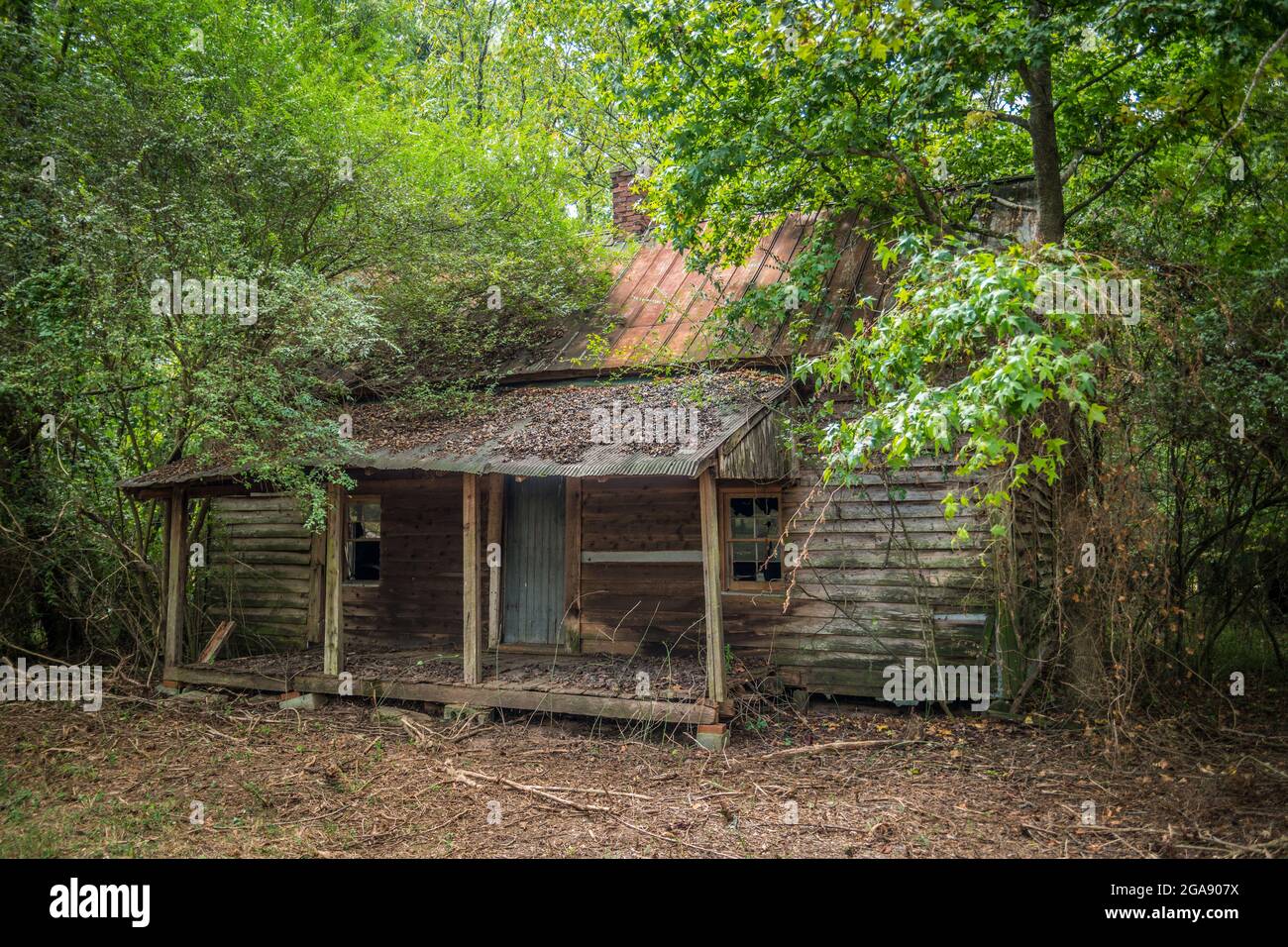Old overgrown cabin in woods hi-res stock photography and images - Alamy
