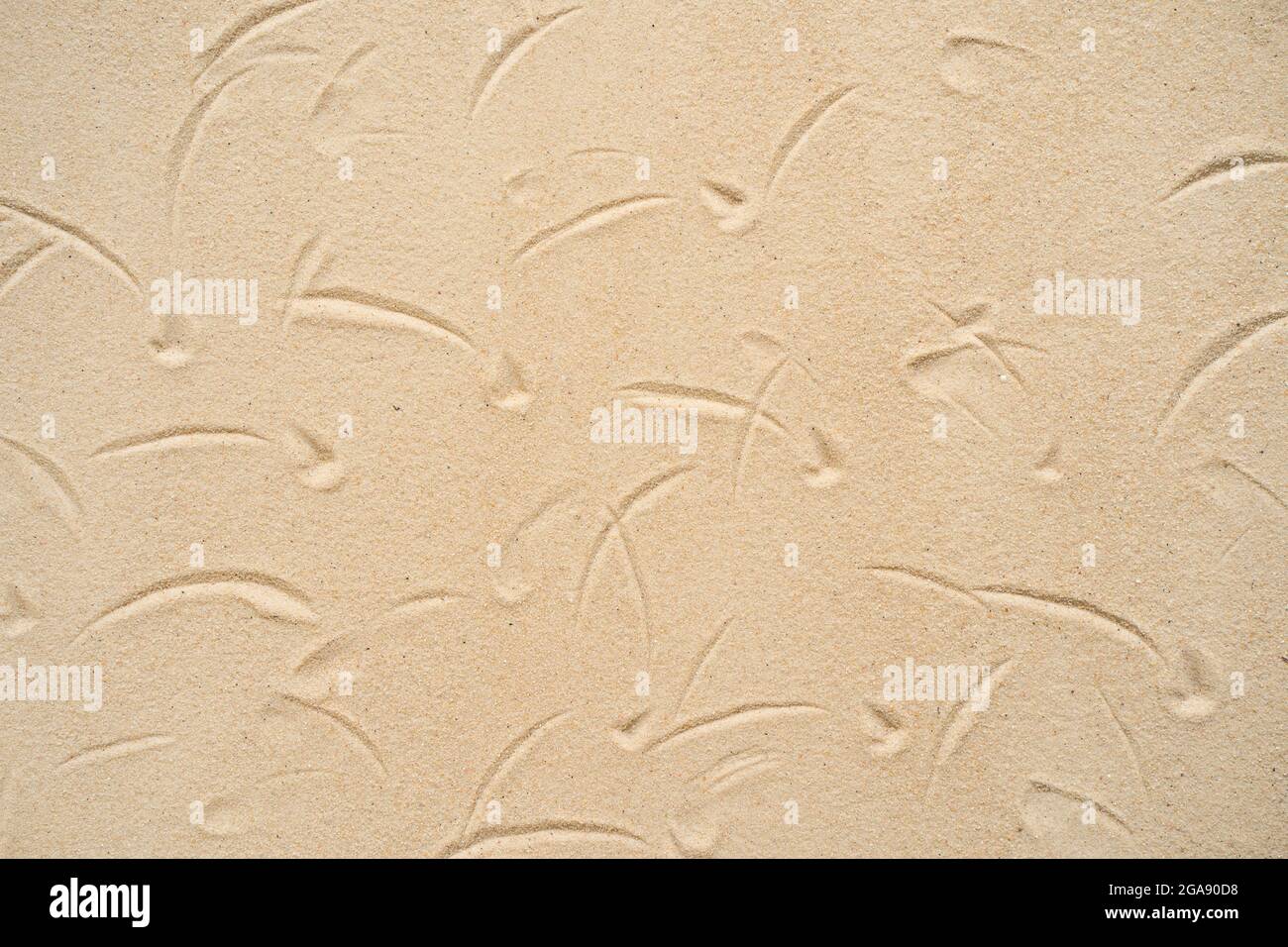 Beige details hi-res stock photography and images - Alamy