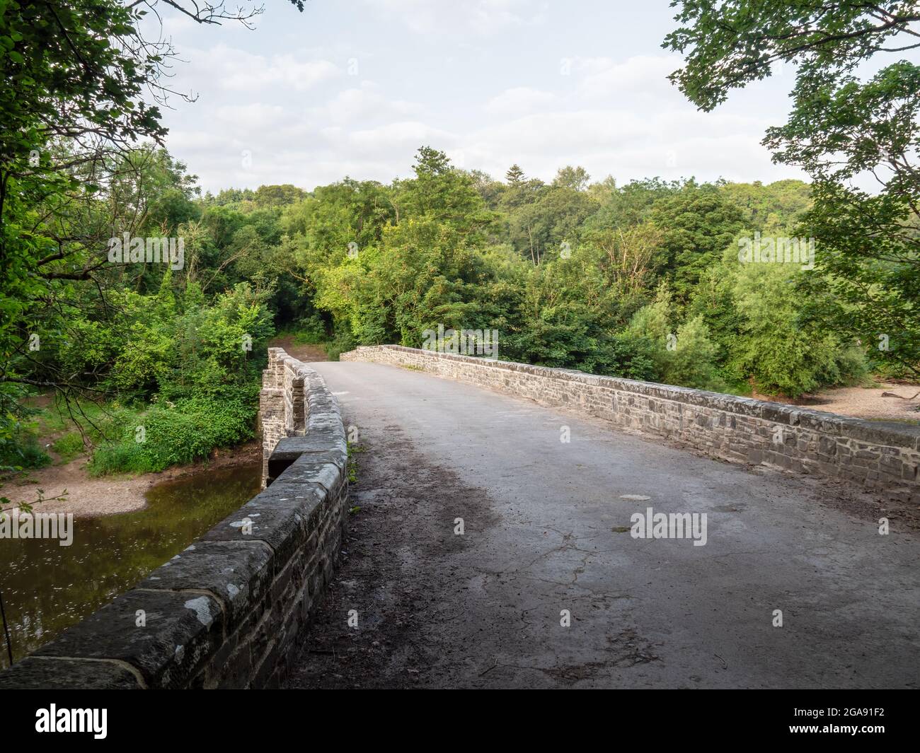 Devon river bridge trees hi-res stock photography and images - Alamy