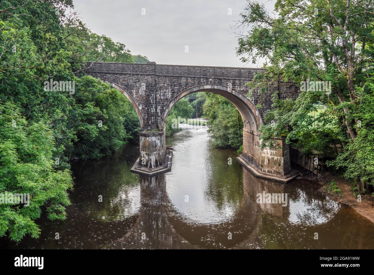 Devon river bridge trees hi-res stock photography and images - Alamy