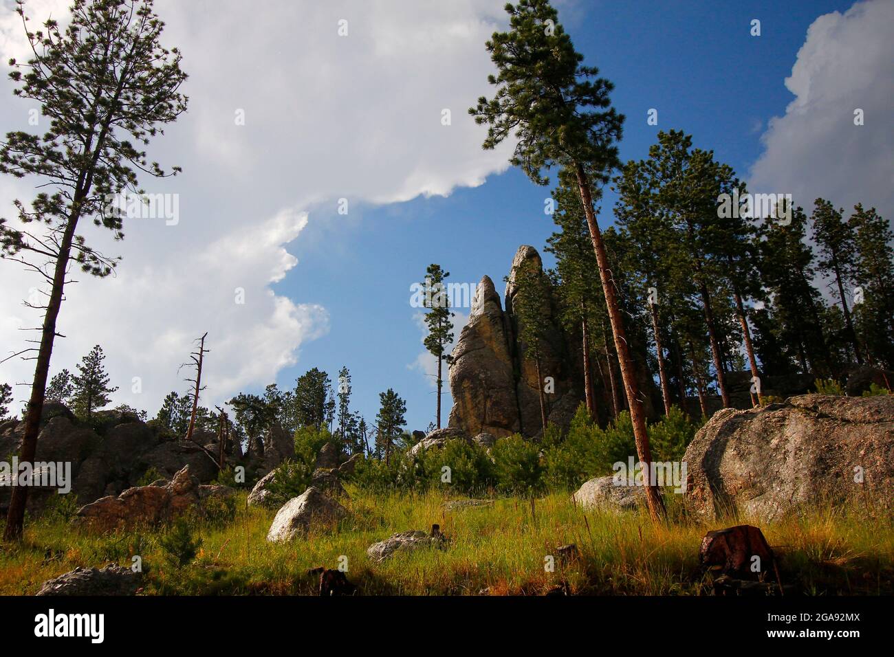 Custer state park needles byway hi-res stock photography and images - Alamy
