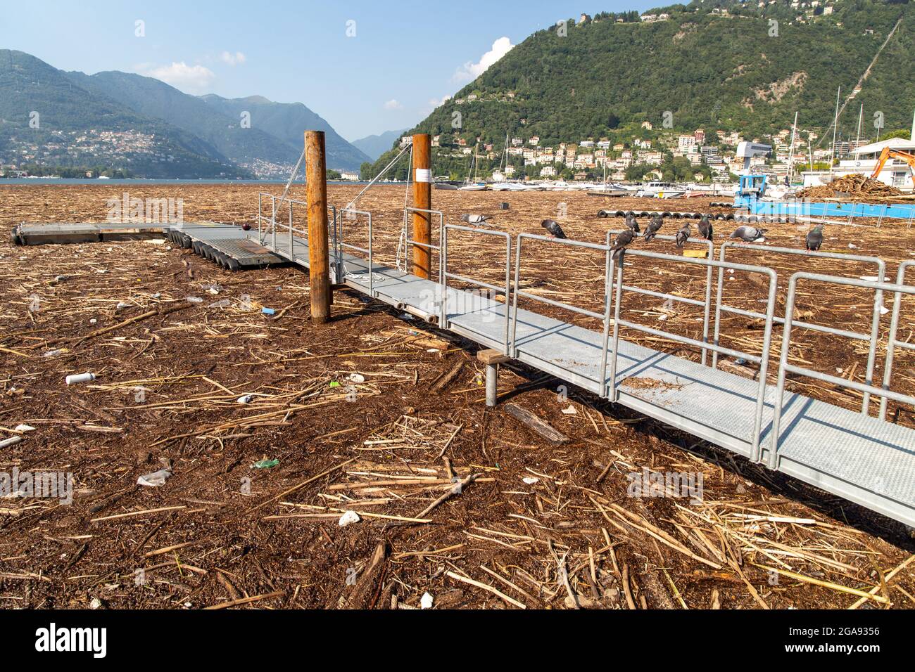 Water pollution after heavy rain hi-res stock photography and images ...